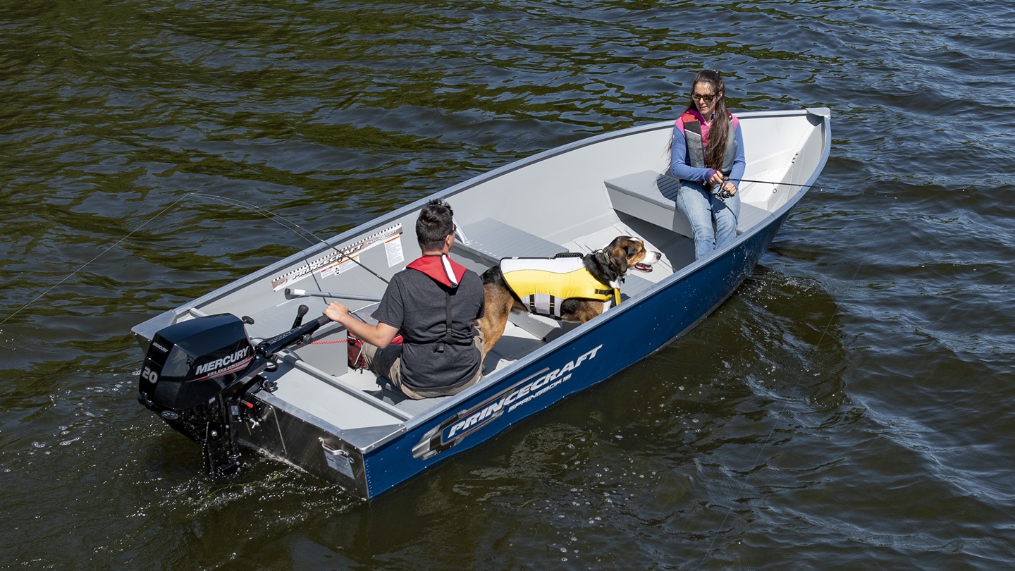 Springbok® 16 L WT (2022) - Fishing Boats - Princecraft®